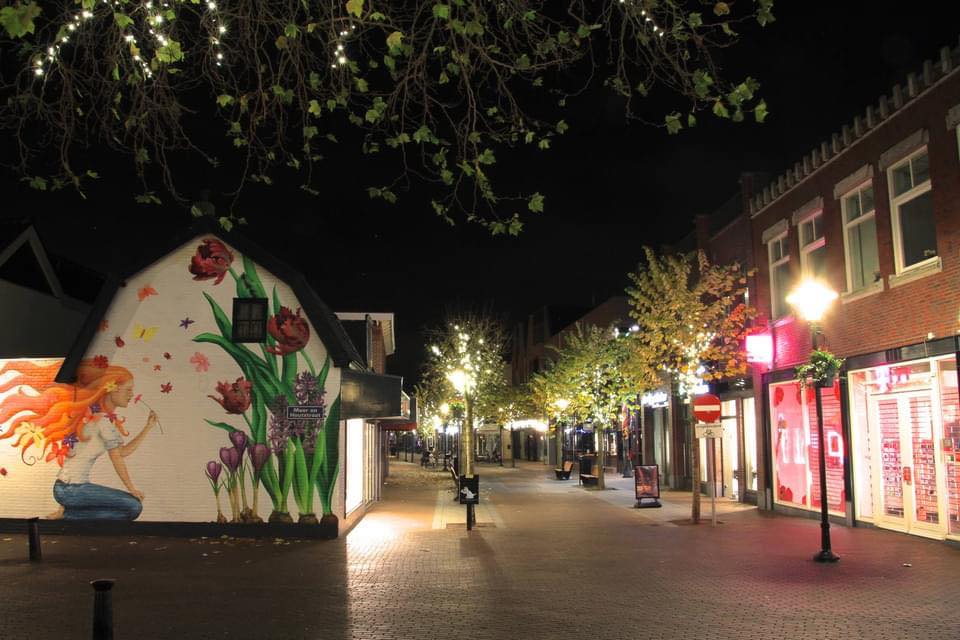 Midzomermarkt Dorpshart Lisse | Hollandse Markten